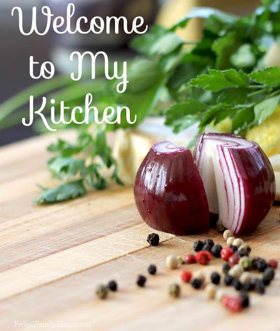 Welcome to My Kitchen - Frugal Family Home