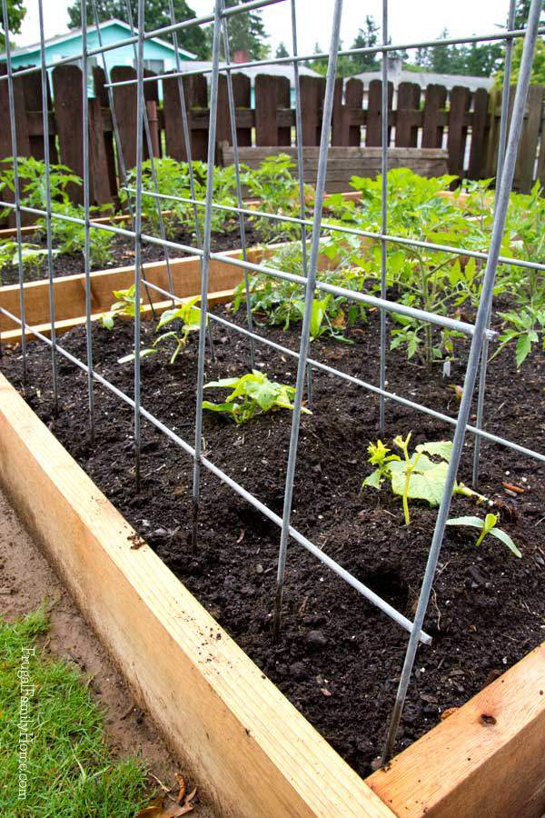 DIY Garden Trellis DIY Garden Trellis