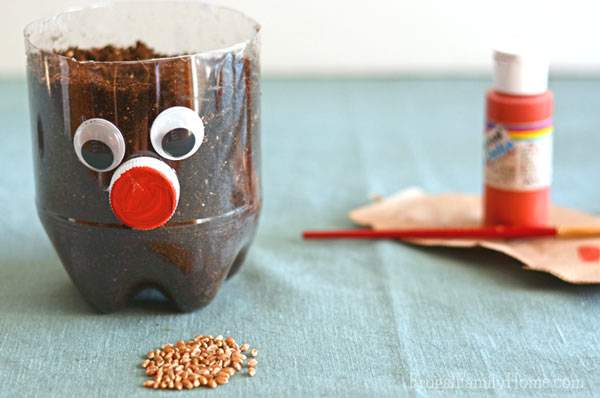 DIY Chia Pet