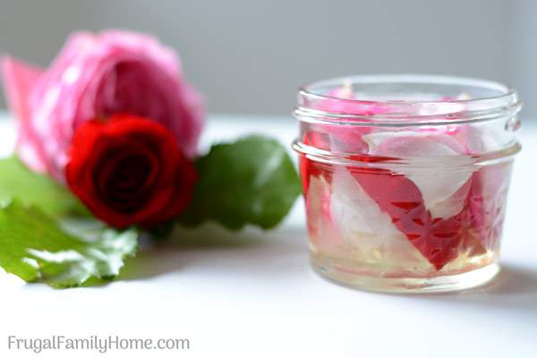 How to Make Homemade Rose Oil